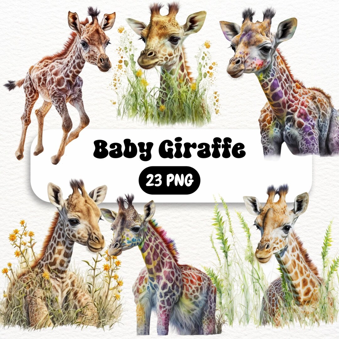 Baby Giraffe Watercolor Clipart, Cute Giraffe Baby Shower Graphics ...