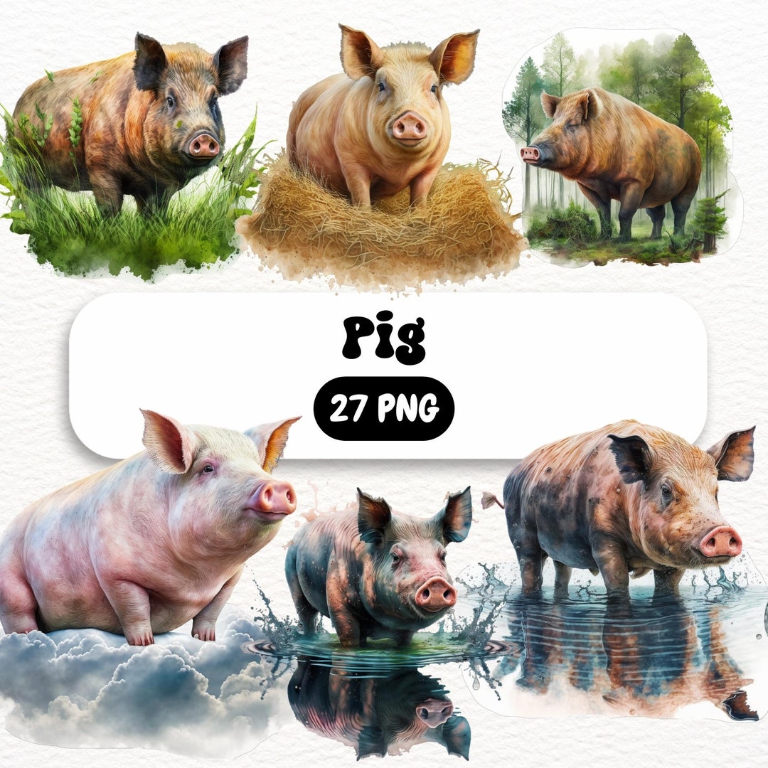 Pig Clipart - Cute Pig - Digital Download - Card Making, Clip Art ...