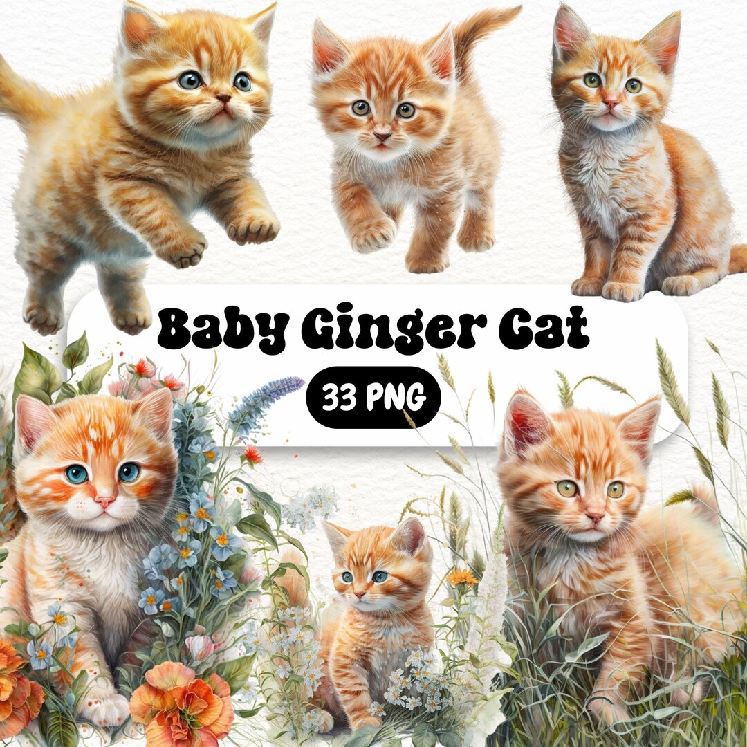 Ginger Cat Clipart, Ginger Cat PNG, Ginger Cat Illustration, Cat Clipart, Cat PNG, Cat ...