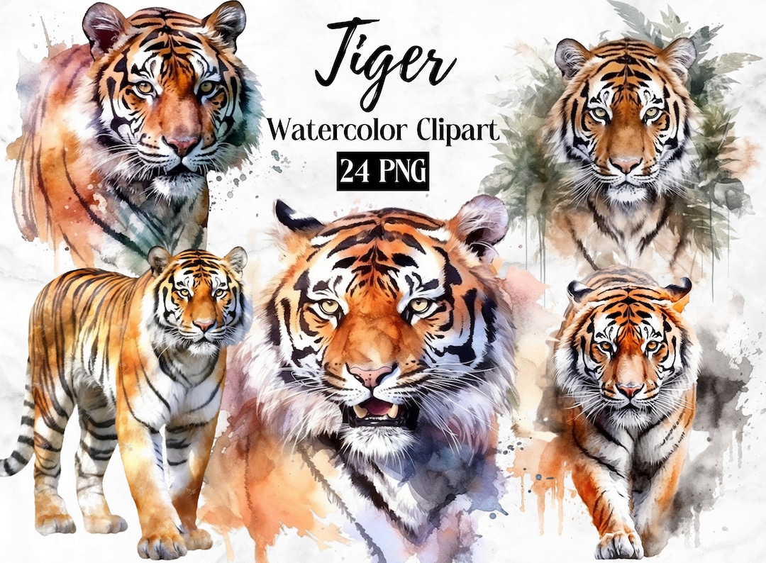 Tiger Clipart - 24 High Quality Pngs - Digital Download - Card Making ...