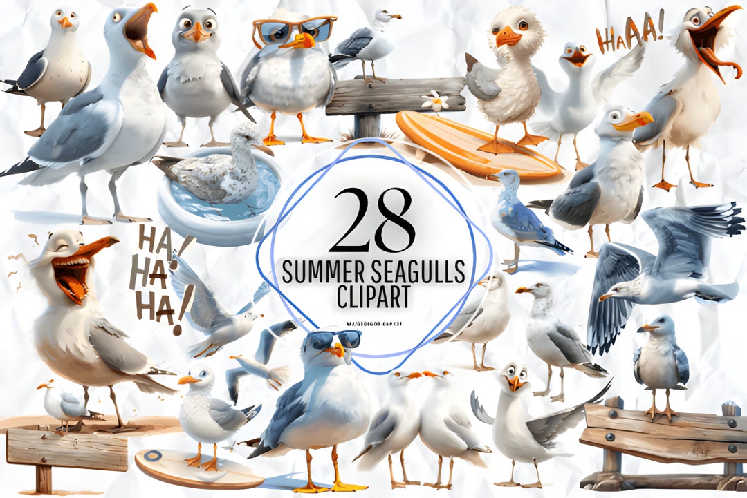Funny Seagulls Clipart 28 Png, Goofy Seagull Birds, Silly Gulls ...