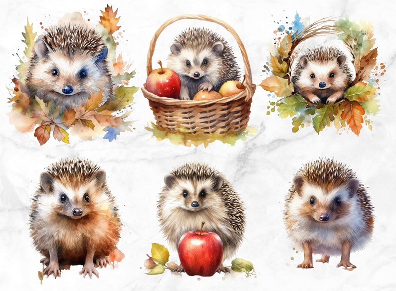 Cute Hedgehog Clipart | Watercolor Hedgehog PNG | Nursery Wall Art ...