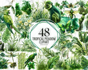 Watercolor Tropical Leaves Clipart Png Tropical Greenery Leaves Clipart ...