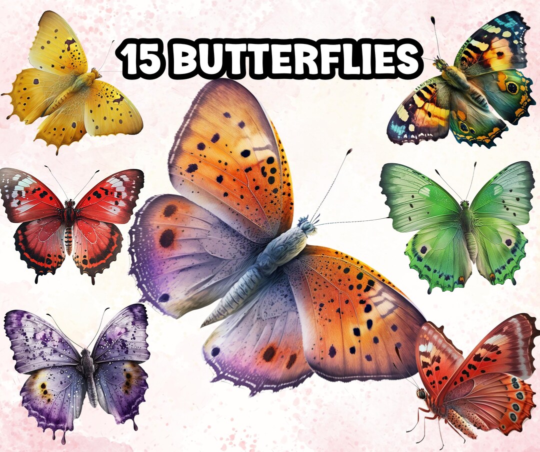 Best Watercolor Butterflies Clipart Bundle Butterfly Png - Etsy