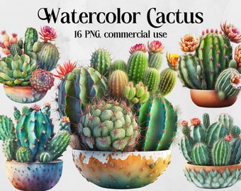 Cactus Watercolor Clipart Bundle Desert Cacti Png Instant Download ...