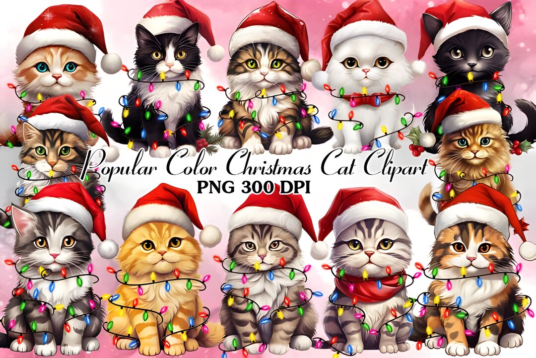12 Christmas Cats Clipart, Pngs,digital Download, Commercial Use, Mixed ...