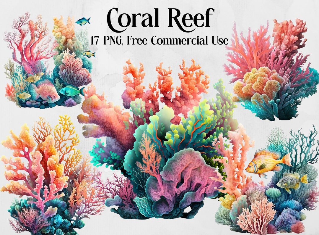 Coral Reef Clipart, Nautical Clipart. Ocean Clipart. Sea Clip Art, Png ...