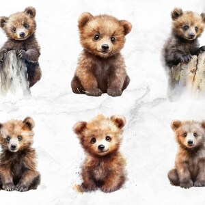 Baby Bear Clipart | Watercolor Clipart Bear | Woodland Animals | Cute ...