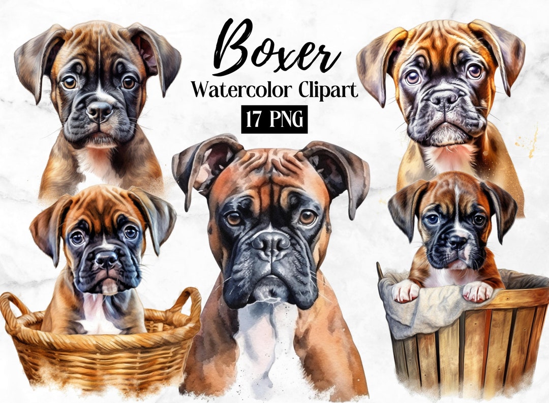 Cute Boxer Clipart | Cute Dog Clipart | Dog PNG | Watercolor Boxer PNG ...