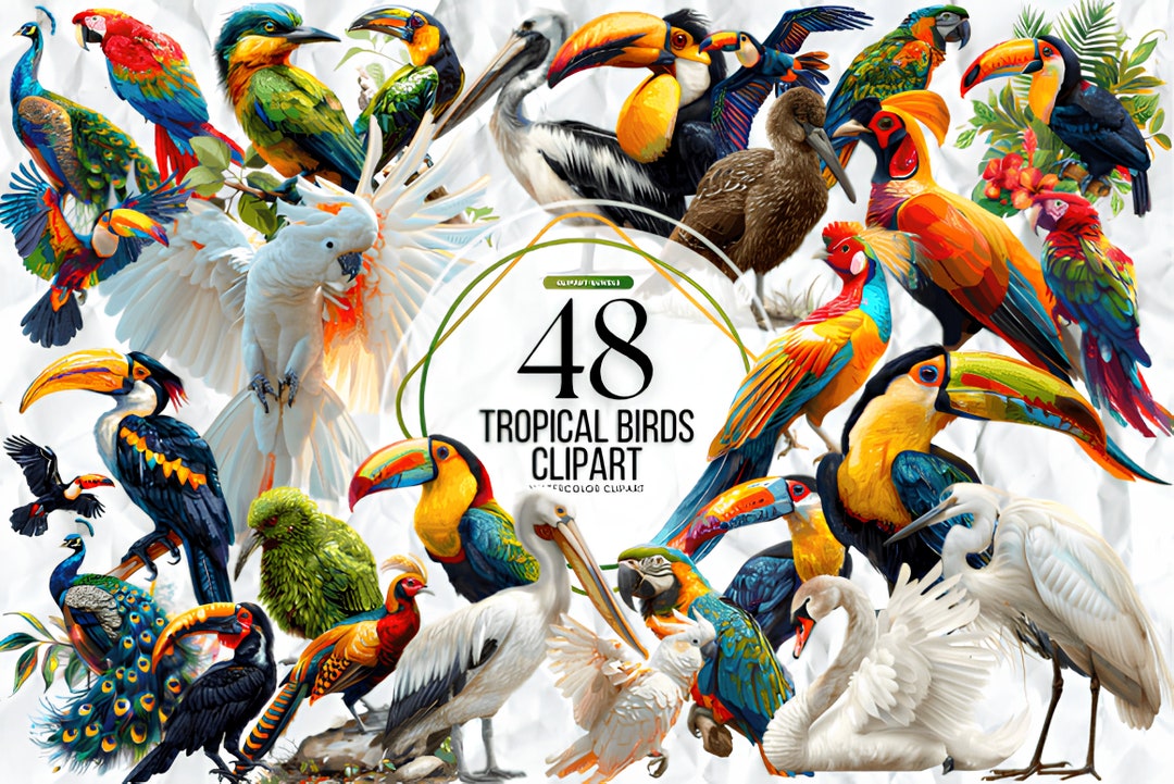 Watercolor Tropical Birds Clipart Bundle - Tropical Download - Instant ...