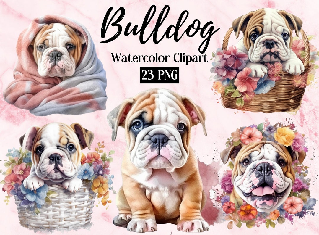 English Bulldog PNG | Bulldog Puppy PNG | Cute Dog Clipart | Dog PNG ...