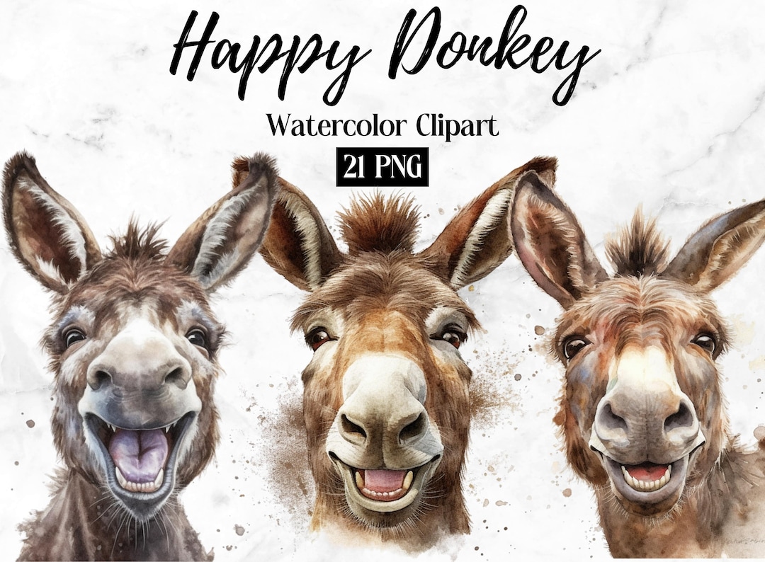 Happy Donkeys Clipart - 21 High Quality Pngs - Digital Planner, Junk ...