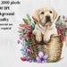 Watercolor Puppies in Basket Clipart, Animal PNG, Cute Floral Dog ...