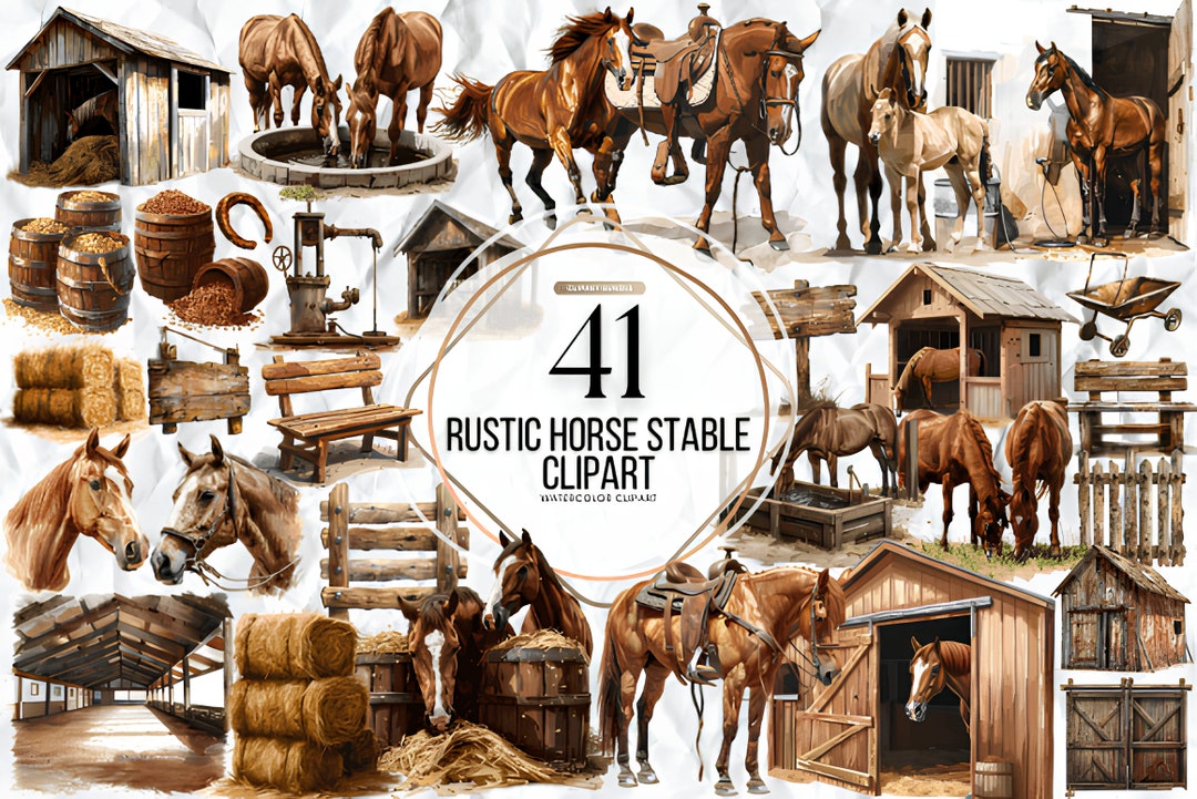 Watercolor Rustic Horse Clipart Bundle Foal Pony PNG Commercial License ...