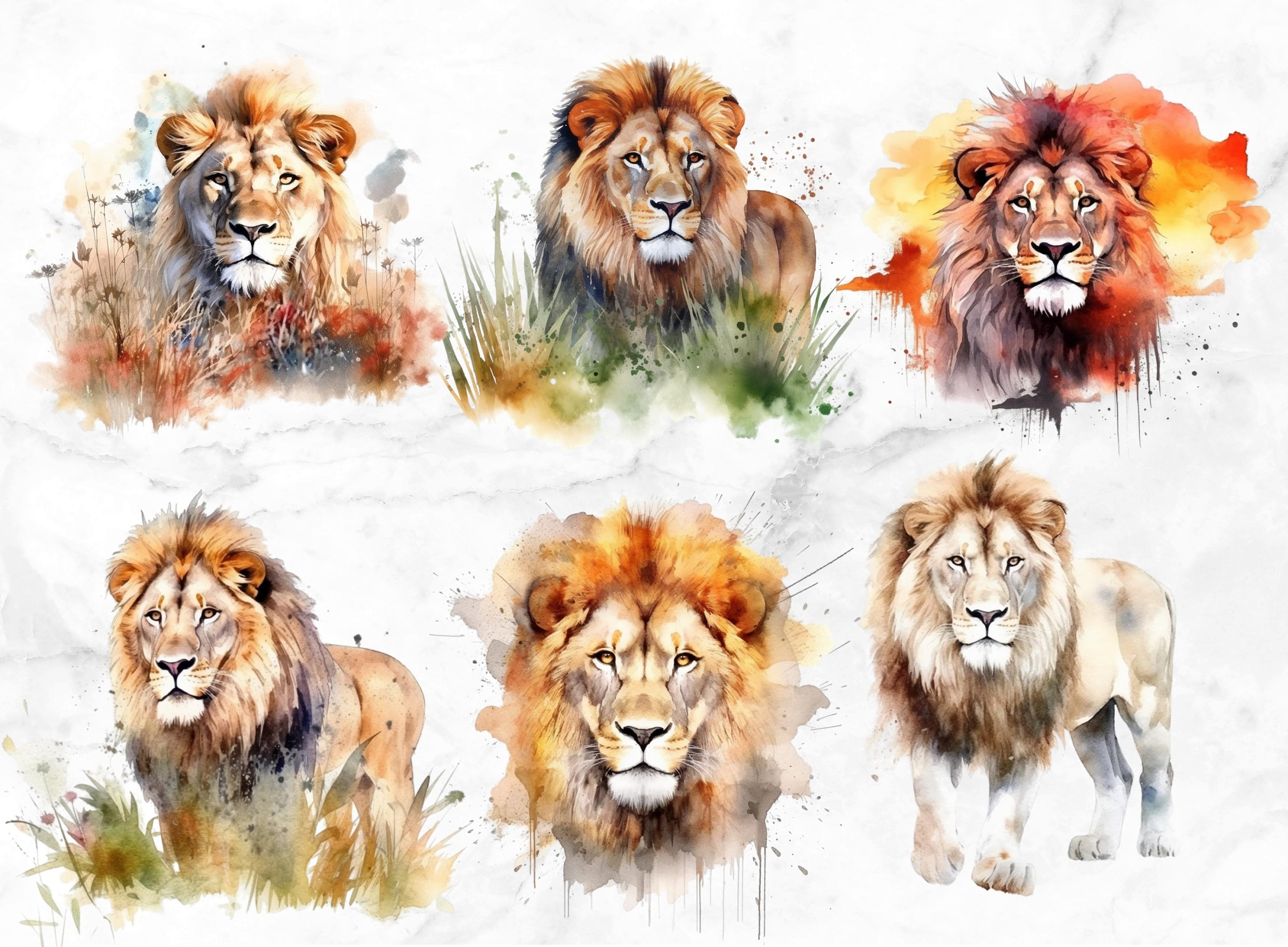 Lion Clipart Watercolor Lion PNG Safari Animals Clipart - Etsy