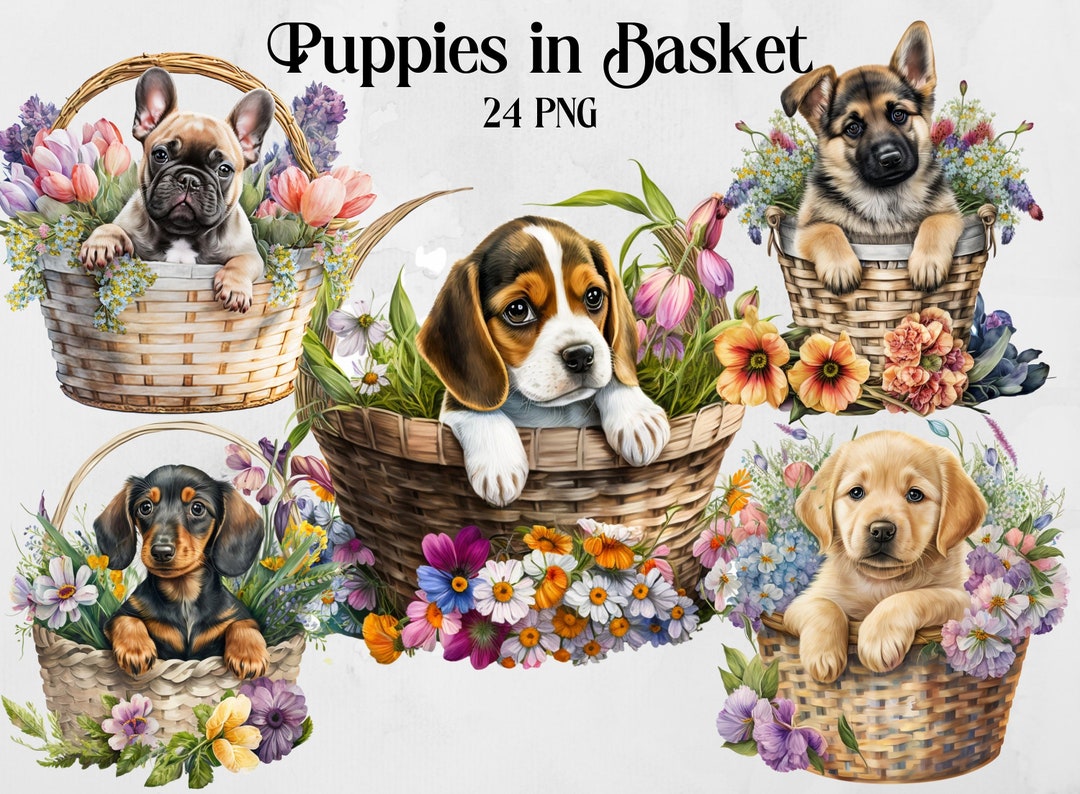 Watercolor Puppies in Basket Clipart, Animal PNG, Cute Floral Dog ...