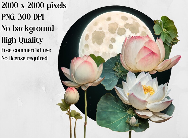 Lotus Moon Clip Art Watercolor PNG Lotus Pond Flower PNG - Etsy.de