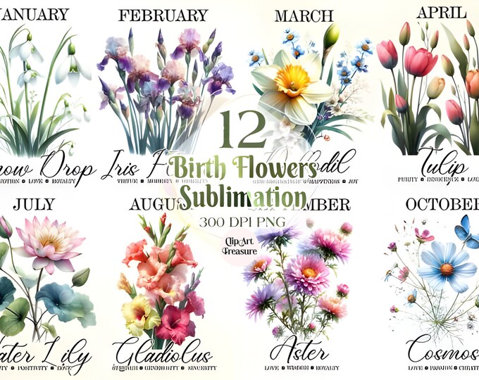 Birth Month Flowers PNG Kit, Watercolor Floral PNG Bundle, DIY Birth ...