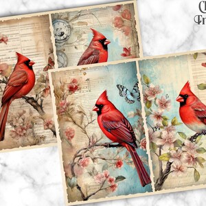Watercolor Red Cardinal Junk Journal Printable Page, Red Cardinal Junk ...