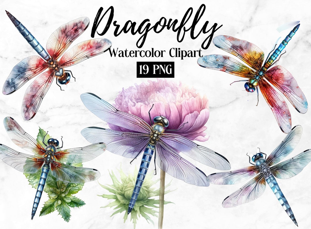 Dragonfly Watercolor PNG | Watercolor Dragonfly Clipart | Dragonfly Art ...