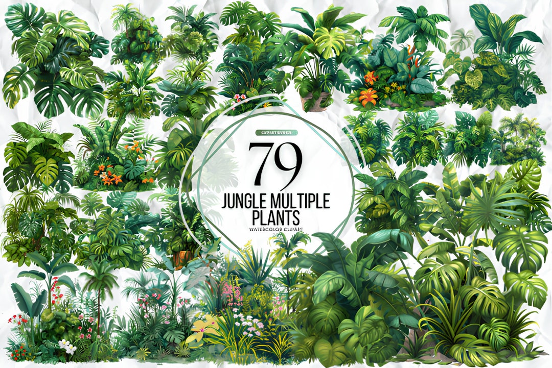 Watercolor Jungle Multiple Plants PNG Clipart Leaves Jungle Leaves PNG ...