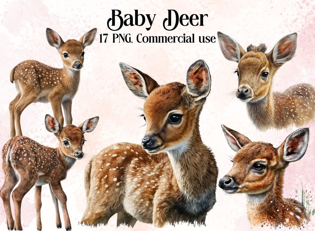 Cute Baby Deer Clipart, Fawn Digital Illustration Bundle,digital ...