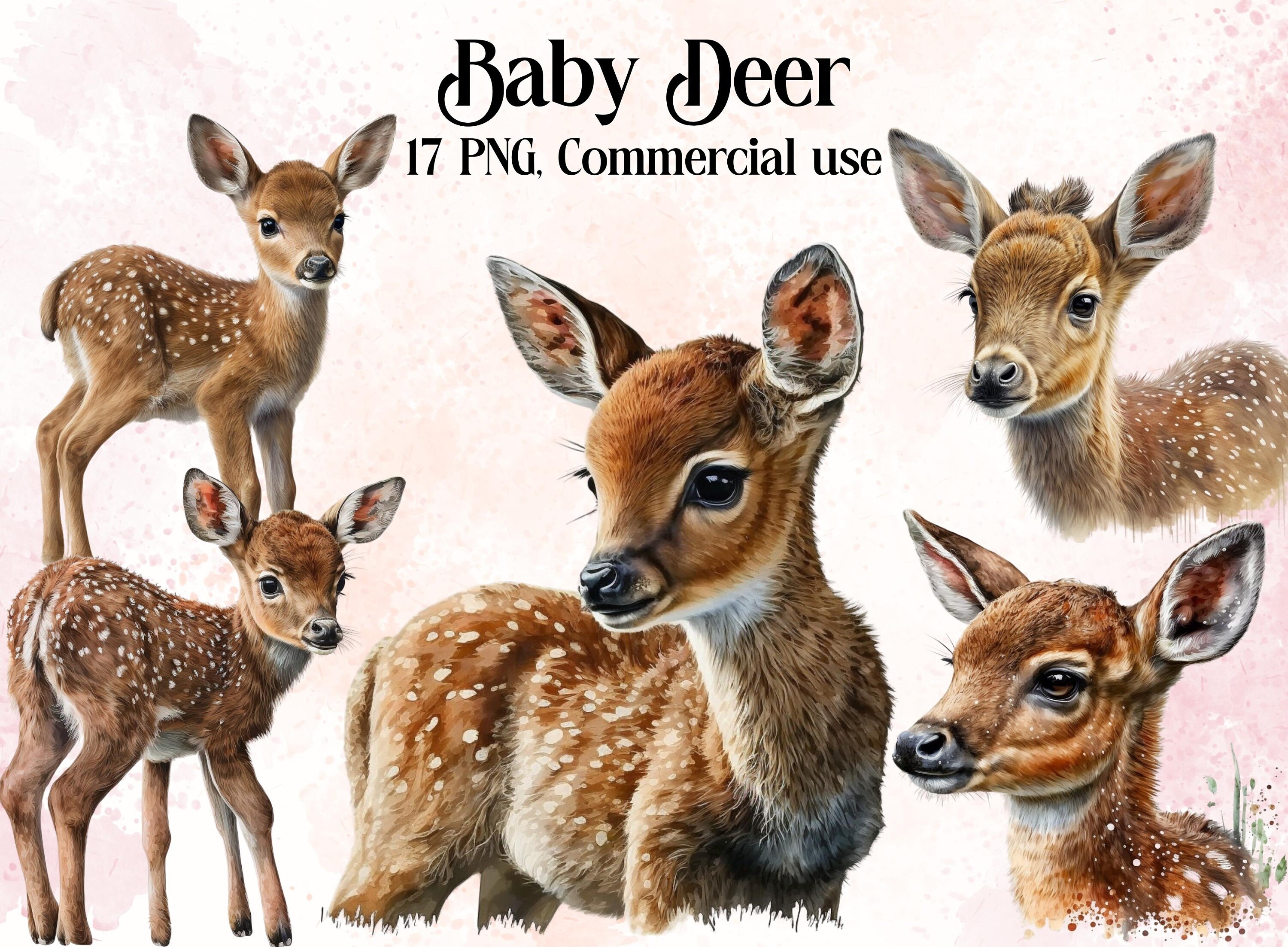 Cute Baby Deer Clipart Fawn Digital Illustration - Etsy