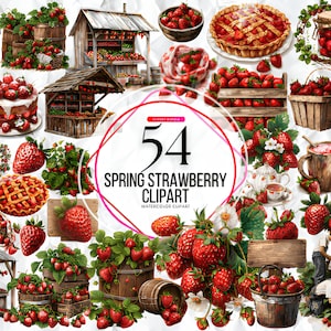 Watercolor Spring Strawberries Clipart - Digital Png Strawberry Cupcake ...