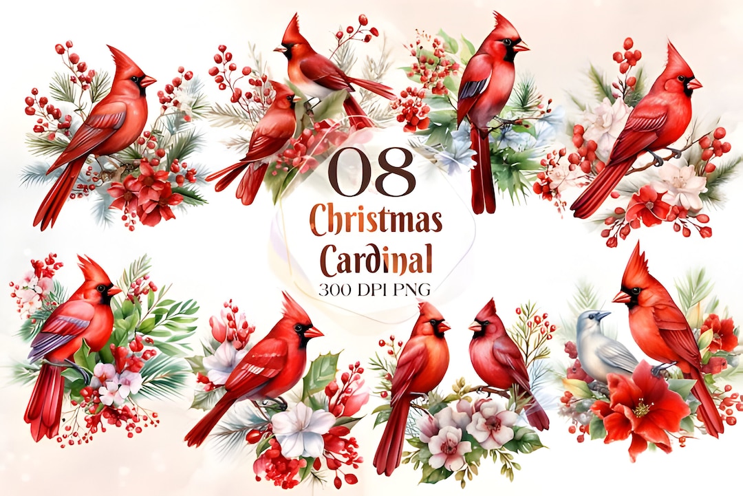8 Christmas Red Cardinal Clipart PNG, Watercolor Clipart PNG, Bird ...