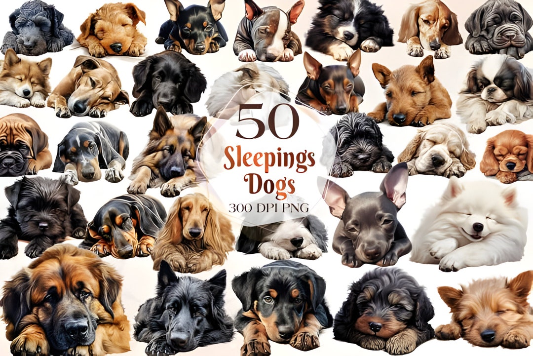 Cute Sleeping Dogs Clipart | PNG Cute Dog Perfect for Card Making ...