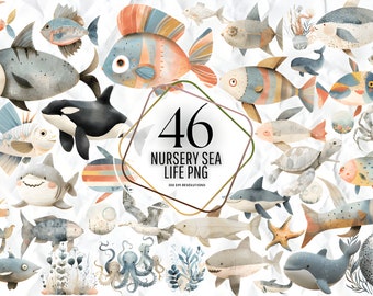 Underwater World Clipart Bundle, Cute Ocean Animals PNG, Baby Shower ...