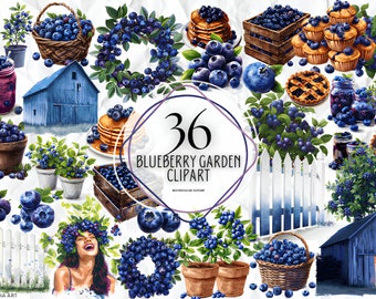 Watercolor Blueberries Clipart Blueberry Themed Illustrations, for ...