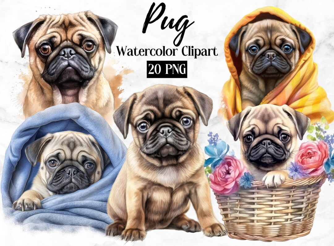 Pug Clipart | Dog PNG | Pug Puppy Clipart | Cute Dog Clipart | Dog ...