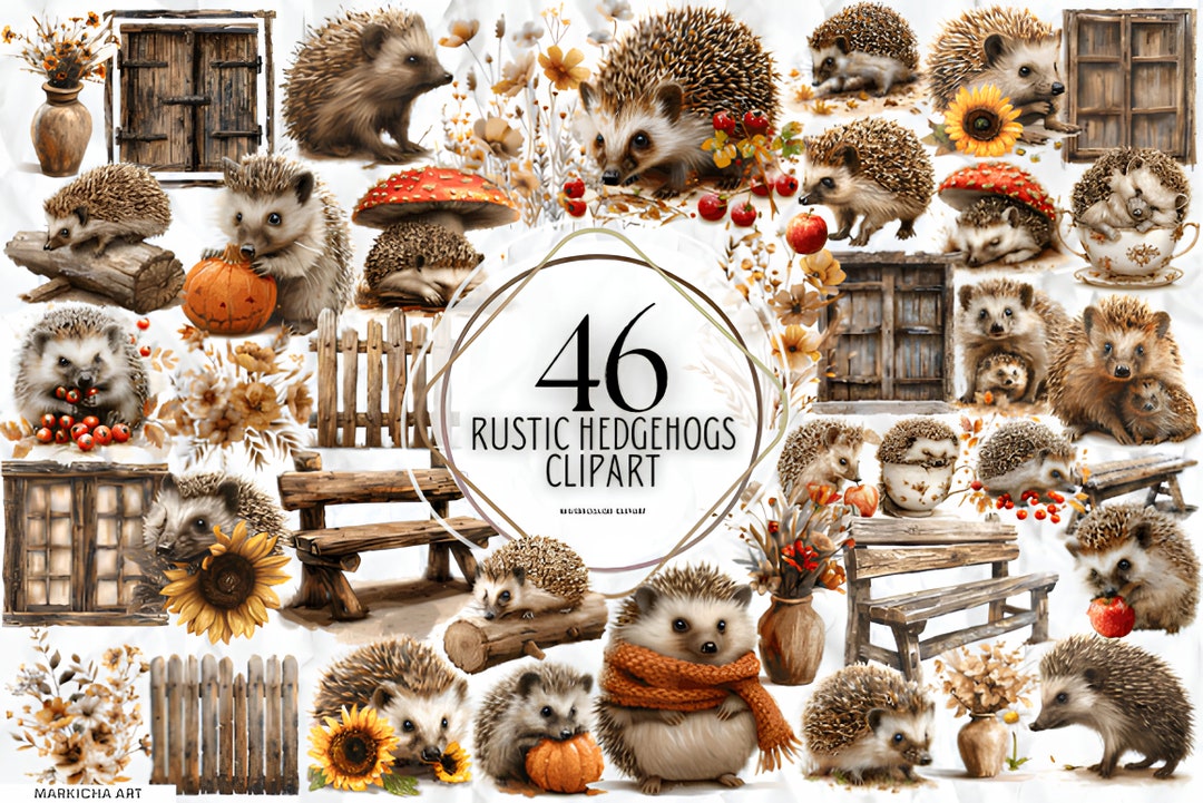Watercolor Rustic Hedgehog Clipart Bundle, Rustic Cute Hedgehog PNG ...