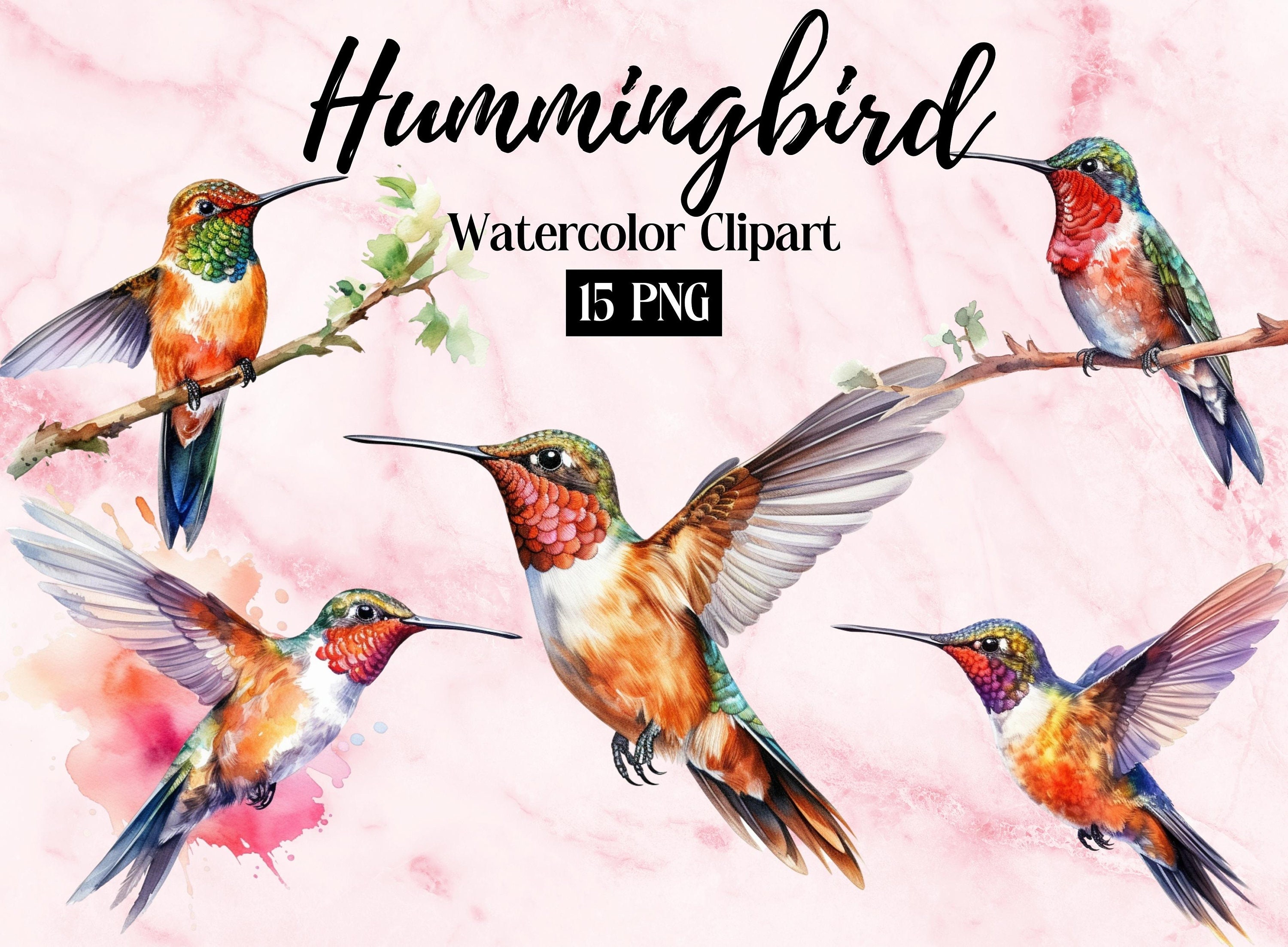 Hummingbird PNG Humming Bird Watercolor Bird Clipart Cute - Etsy