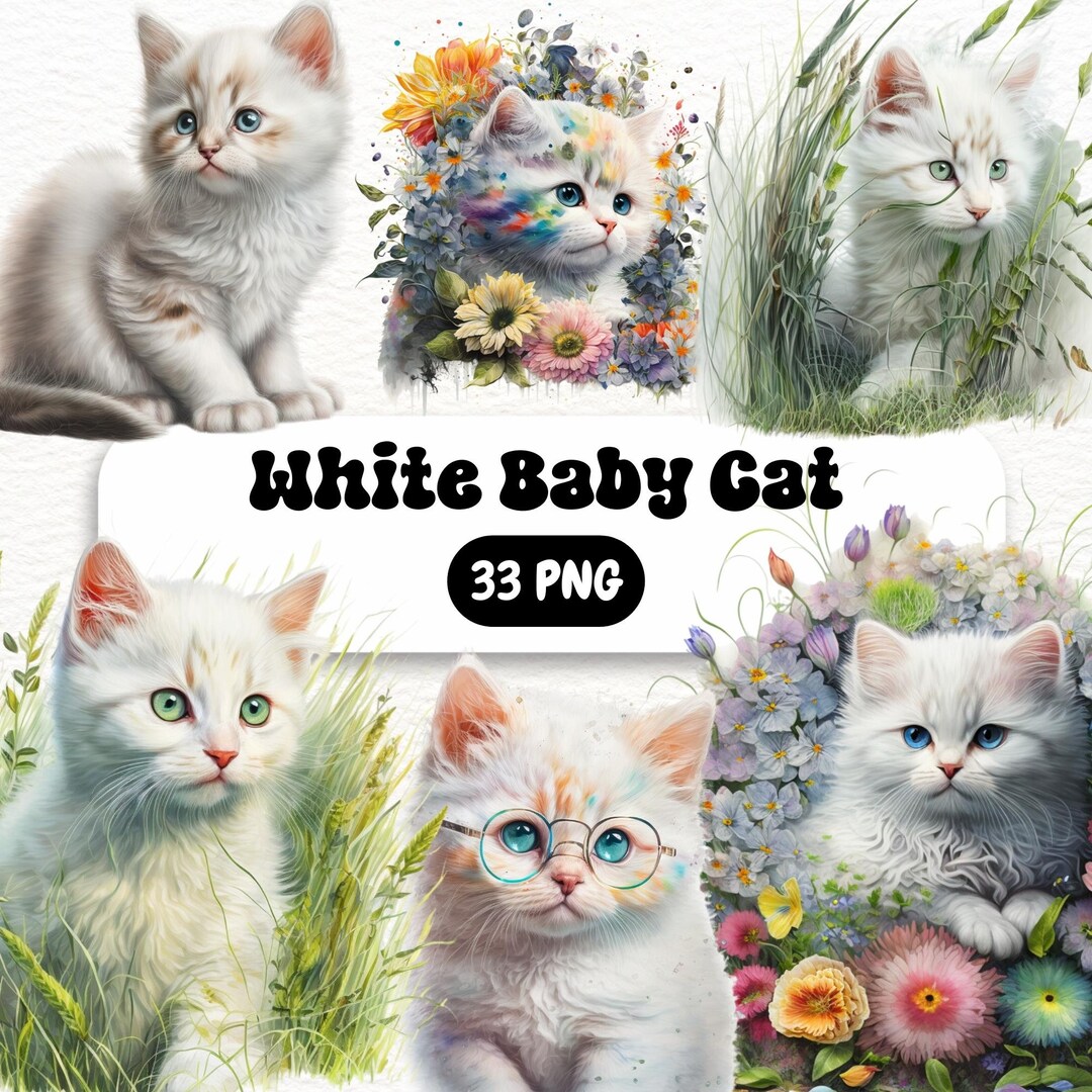 Watercolor White Cat Clipart. 33 High Quality Jpgs, Cute Cats and ...