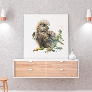 Cute Baby Eagle in Forest Clipart, Watercolor Eagle Clipart Bundle ...