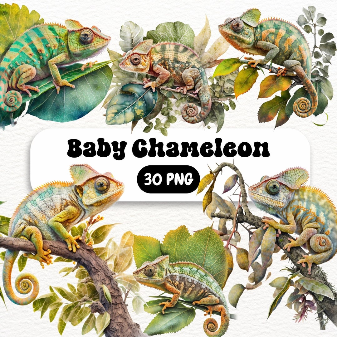 Watercolor Chameleon Clipart, Lizard Colorful Tropical Nature Reptile ...
