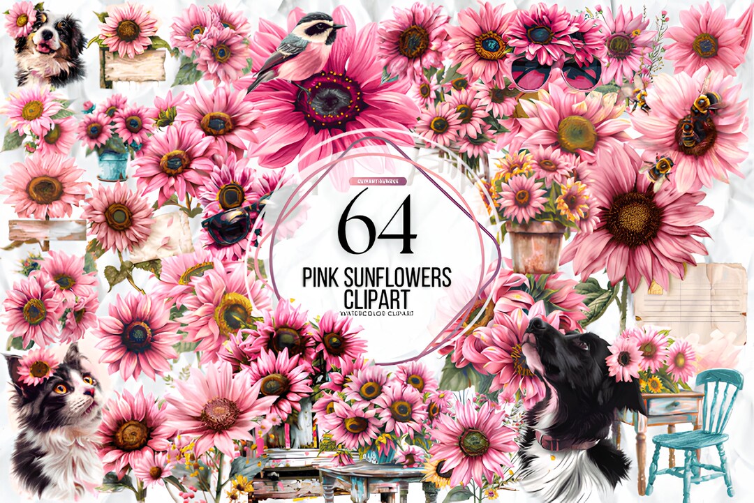 Watercolor Pink Sunflower Clipart, Pink Sunflower Png Bundle ...