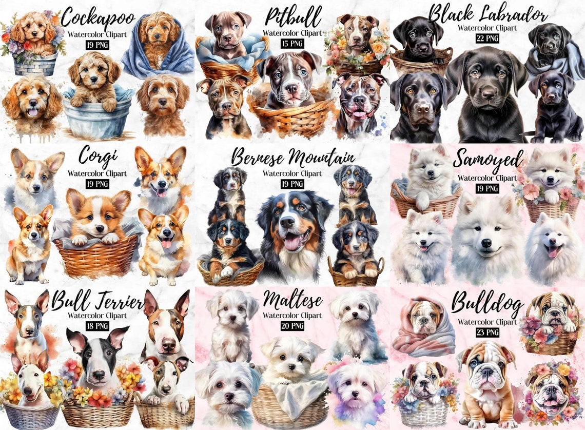 Cockapoo Family Clipartcute Dog Clipart Dog PNG Watercolor - Etsy