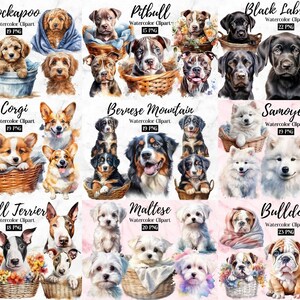 Cockapoo Family Clipart,cute Dog Clipart, Dog PNG, Watercolor Cockapoo ...