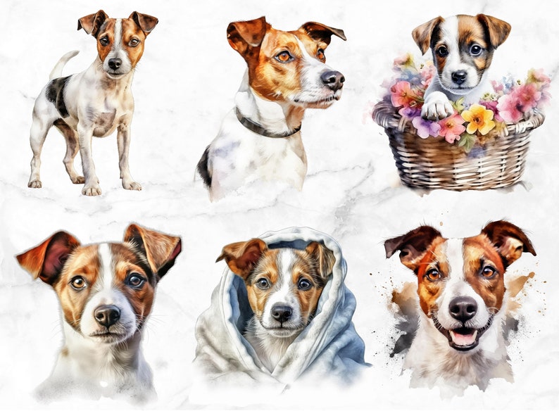 Jack Russell Clipart | Dog PNG | Watercolor Dog Lovers Printable ...