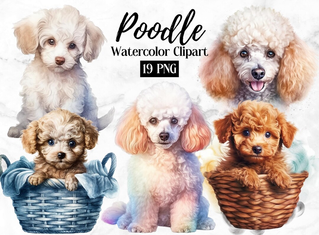 White Poodle Puppy Clipart - High Quality PNG Files, Dog Lovers Digital ...