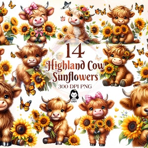 Watercolor Sunflower Highland Cows Collection Clipart, 14 PNG Spring ...