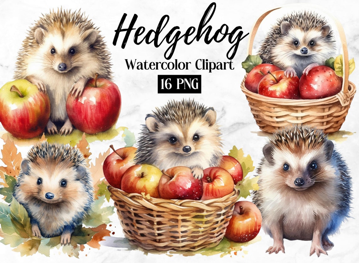 Cute Hedgehog Clipart | Watercolor Hedgehog PNG | Nursery Wall Art ...
