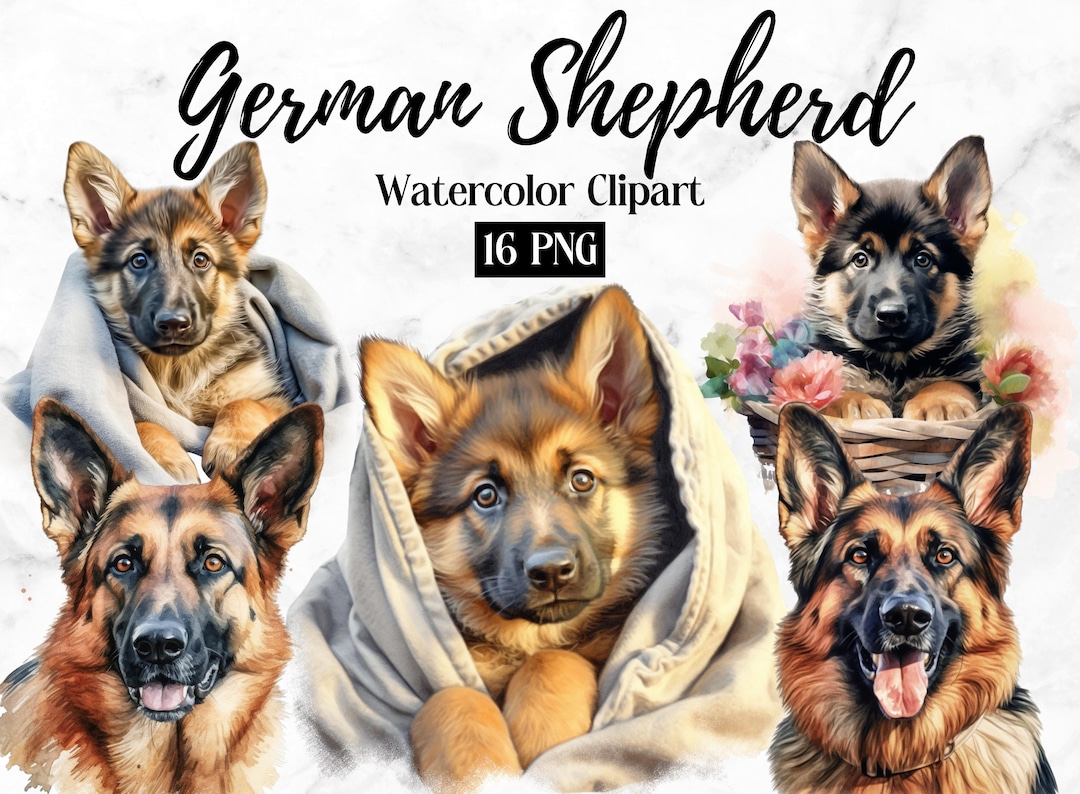 German Shepherd PNG | Dog PNG | German Shepherd Art | Cute Dog Clipart ...