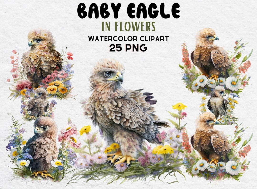 Cute Baby Eagle in Flowers Clipart, Watercolor Eagle Clipart Bundle ...
