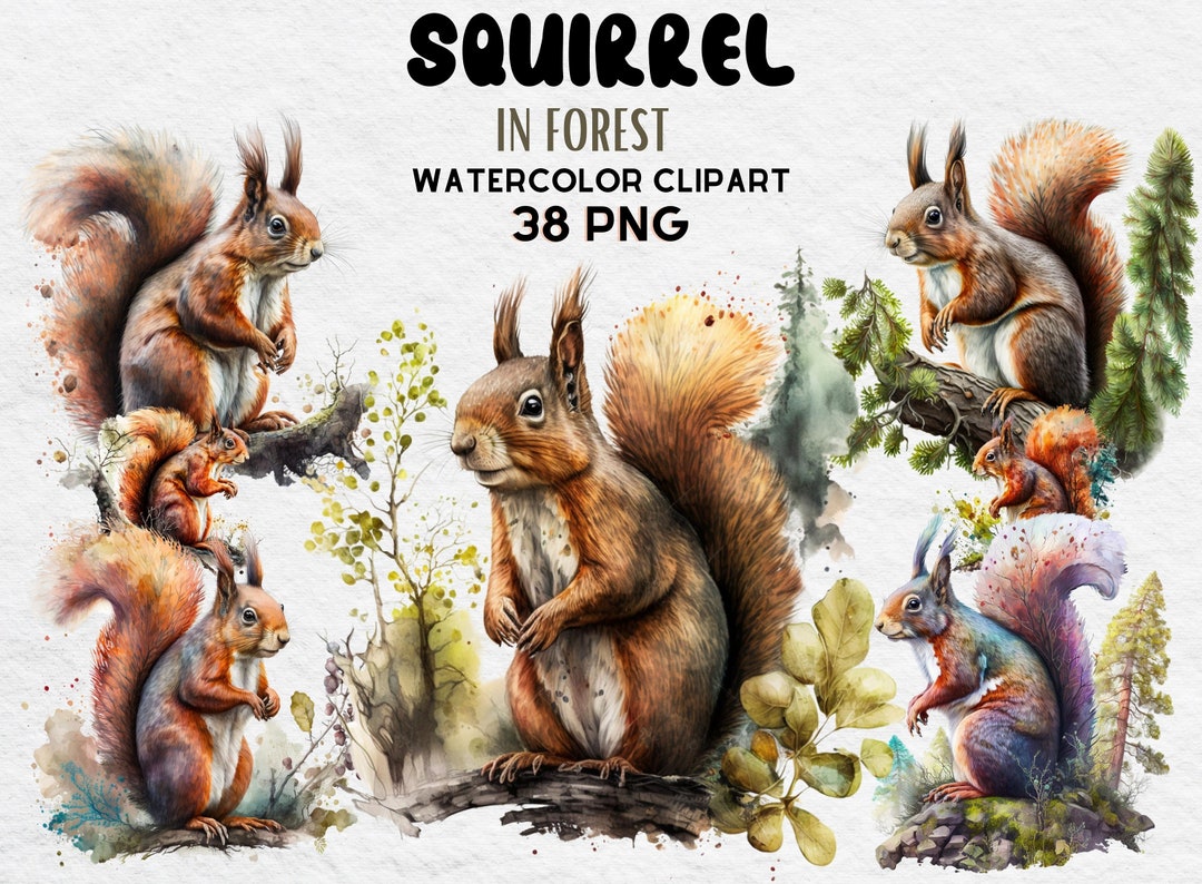 Squirrel in Forest Watercolor Clipart, Birthday Party Decor Graphics ...