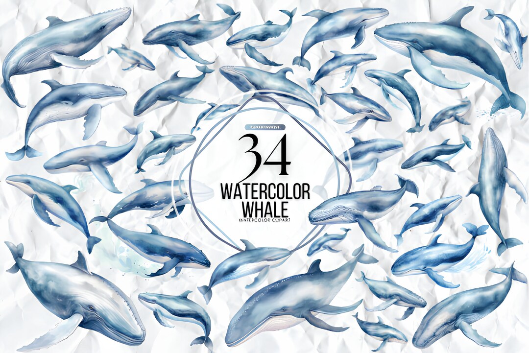 Whale Clip Art, Watercolor Whale Clipart, Whale Art, Orca Clipart, Orca ...