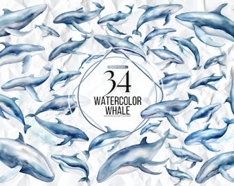 Christmas Clip Art, Whale Christmas Clip Art, Whale Clip Art, Whale ...